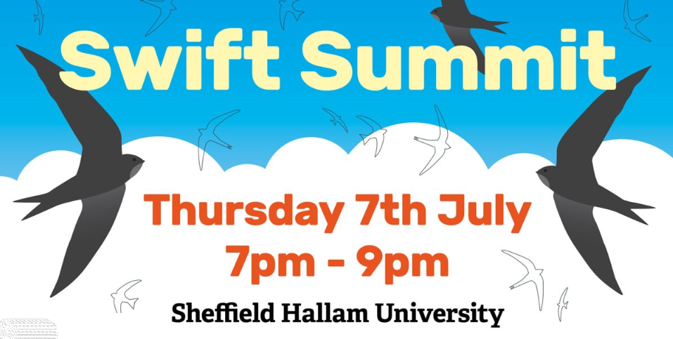 The first ever Sheffield Swift Summit – Sheffield Swift Network