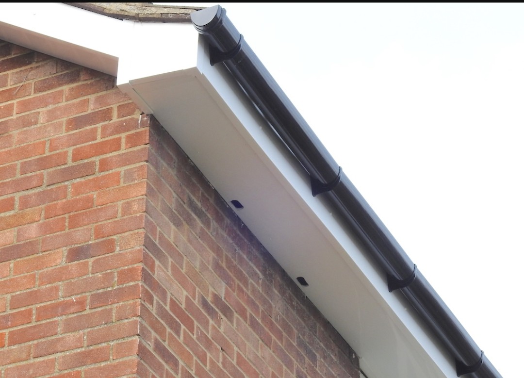 Information for Roofers – Sheffield Swift Network