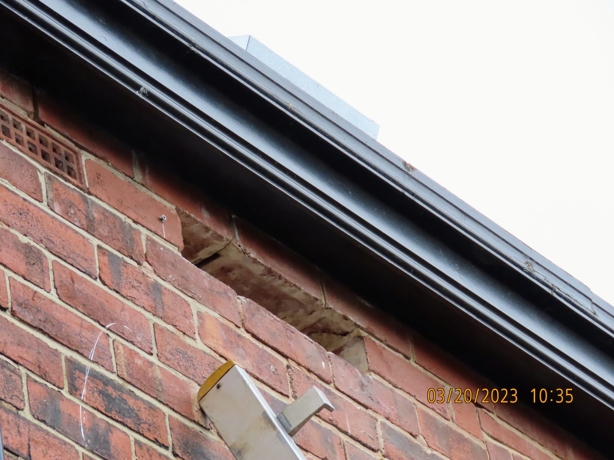 How to buy and retrofit a swift brick – it’s simple! – Sheffield Swift ...