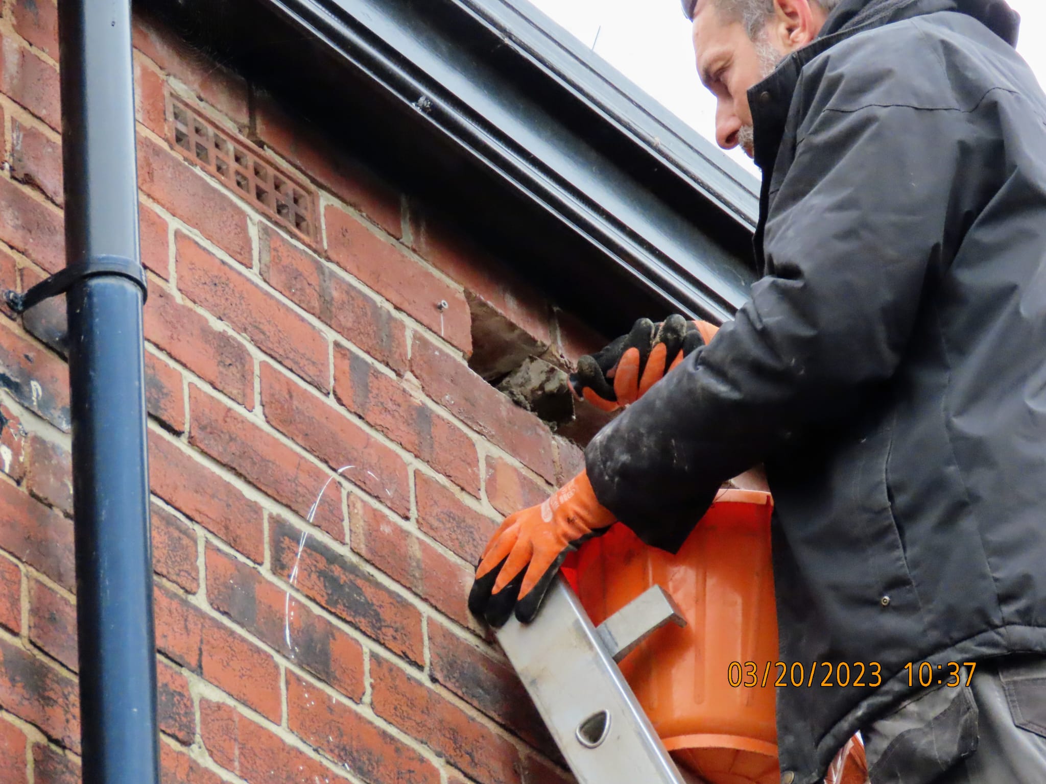 How to buy and retrofit a swift brick – it’s simple! – Sheffield Swift ...