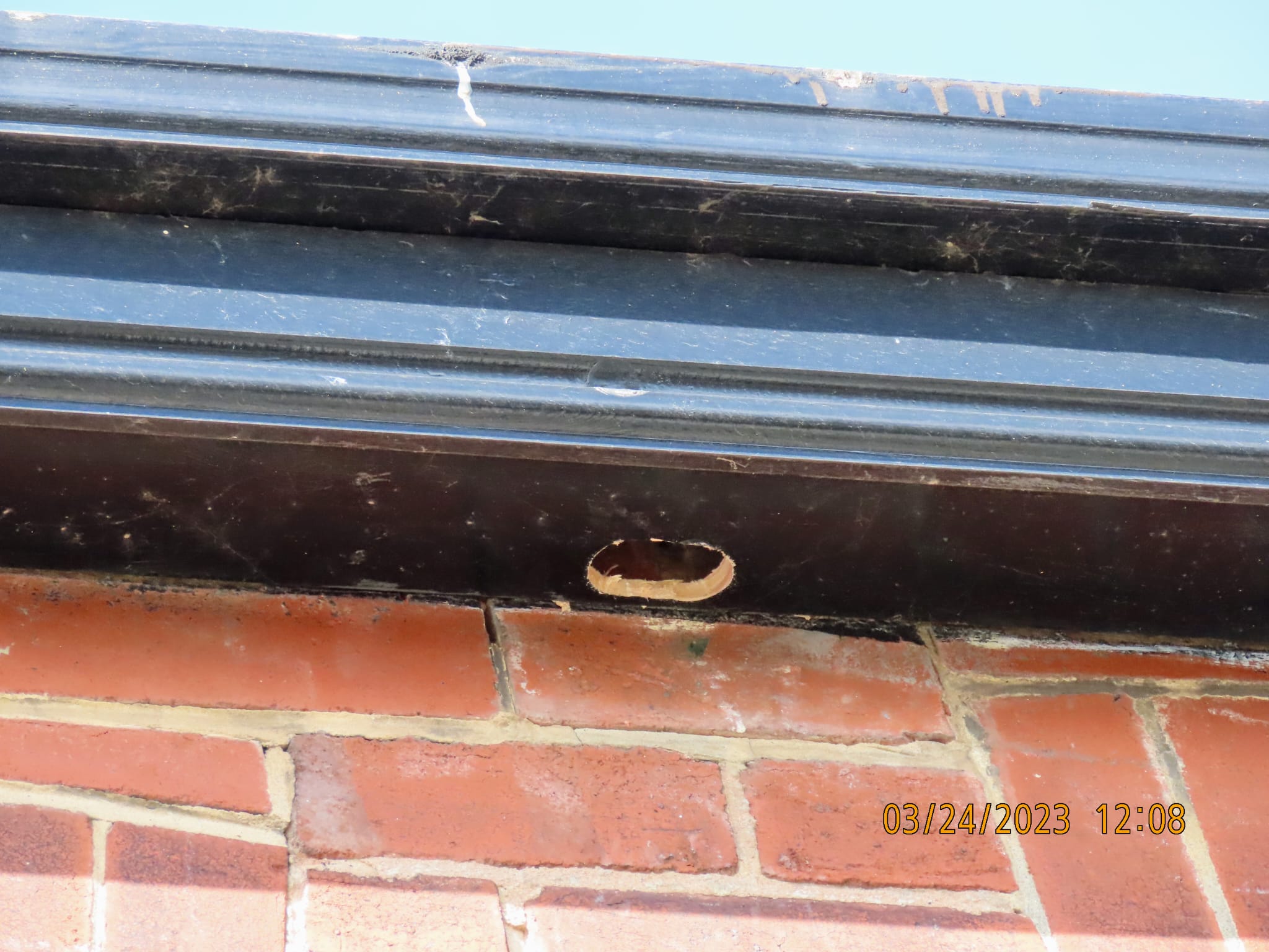 How to buy and retrofit a swift brick – it’s simple! – Sheffield Swift ...