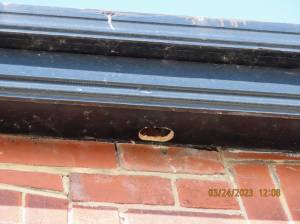 How to buy and retrofit a swift brick – it’s simple! – Sheffield Swift ...