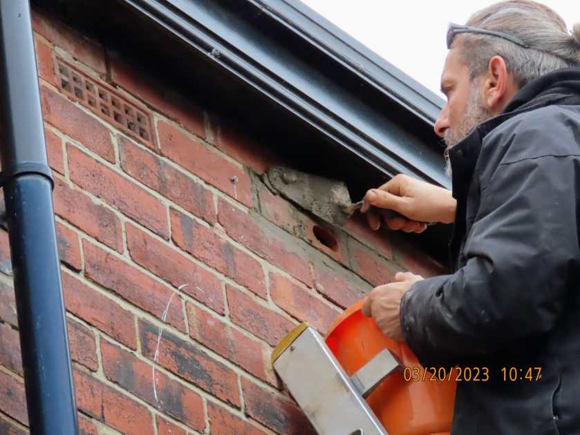 How to buy and retrofit a swift brick – it’s simple! – Sheffield Swift ...