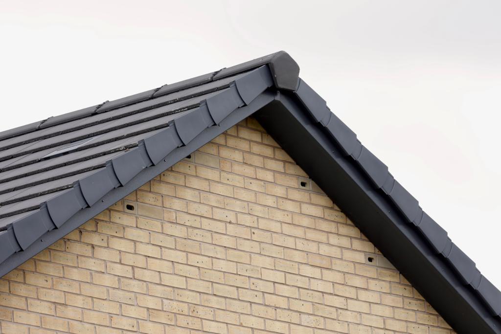 Five Rivers Cohousing – Sheffield Swift Network