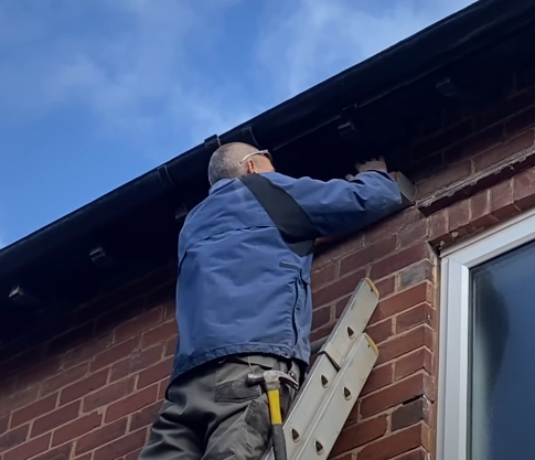 A parting gift for our special swifts – Sheffield Swift Network