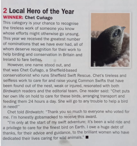 Sheffield Swift Network – Taking action to help swifts across the city ...