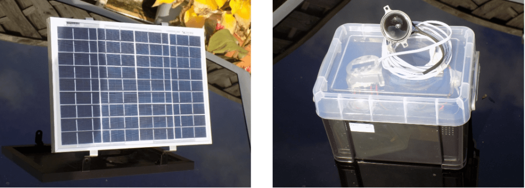 How to attract swifts to your swift bricks, boxes or drilled soffits ...