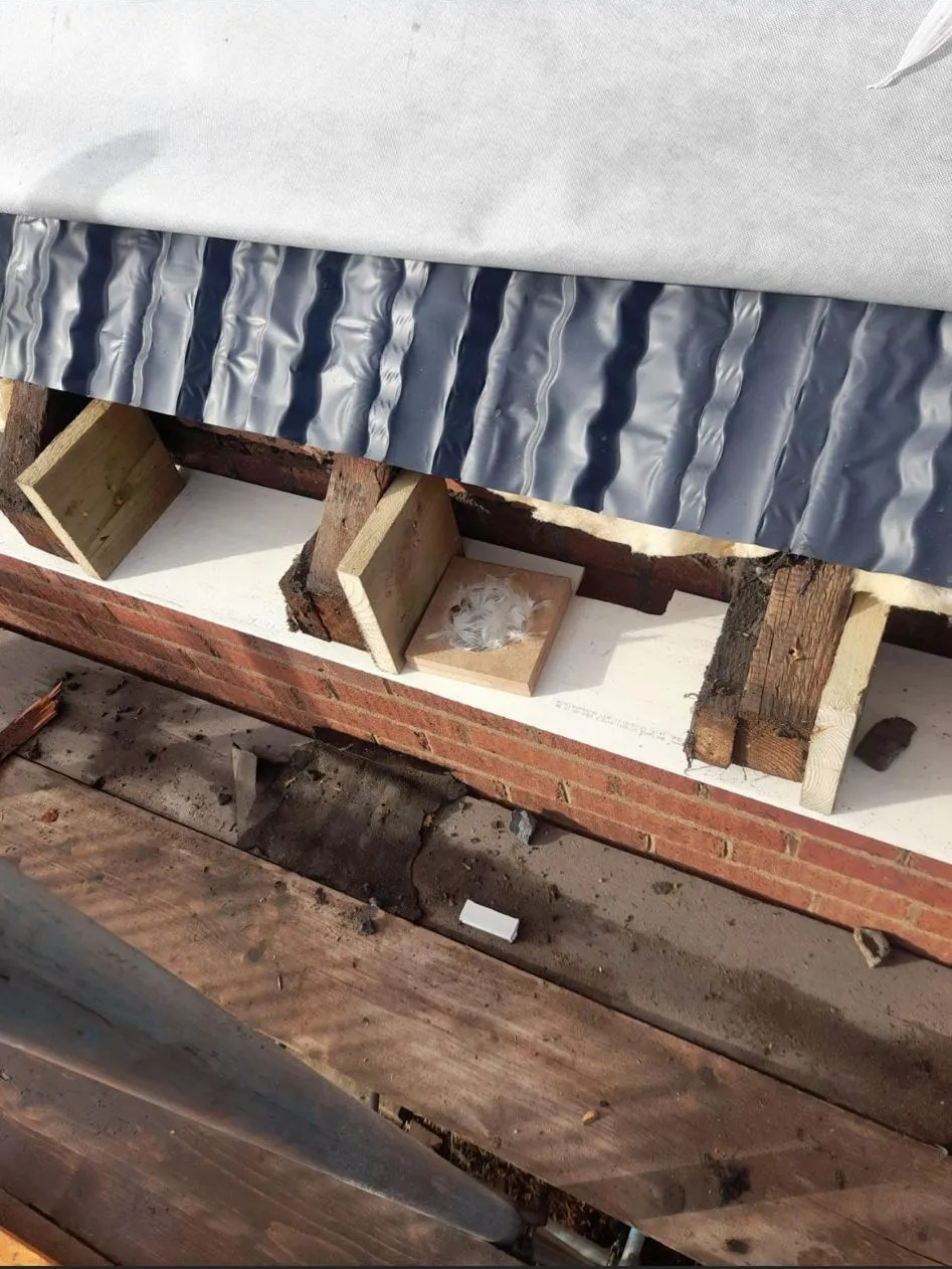 Boxed soffits and fascias – Sheffield Swift Network