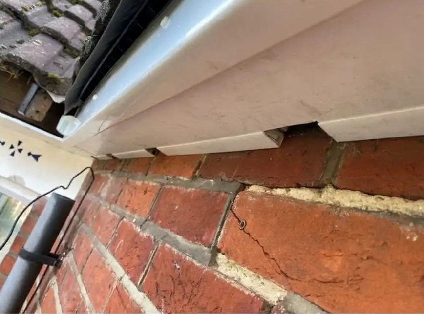 Boxed soffits and fascias – Sheffield Swift Network