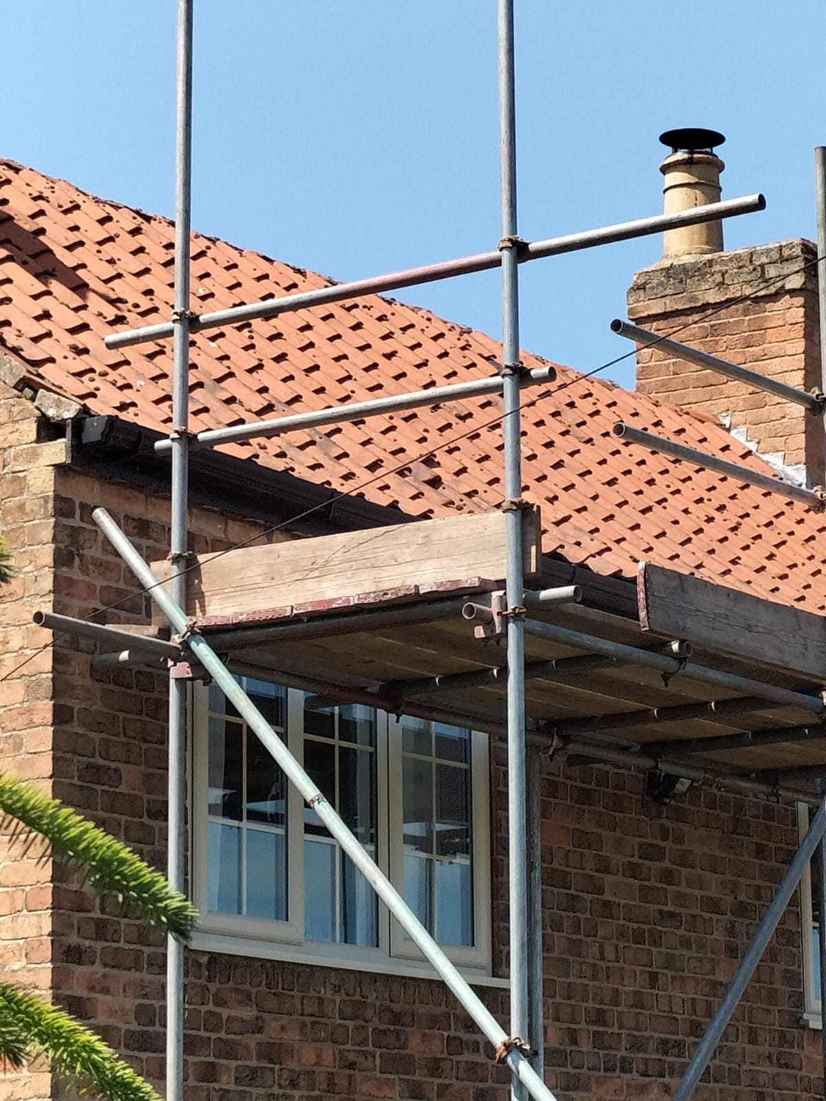 Is Scaffolding Blocking Access To An Active Swift Nest? – Sheffield ...