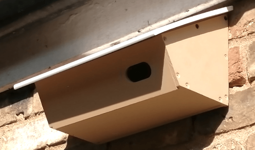 Recommended Nest Boxes and Locations – Sheffield Swift Network