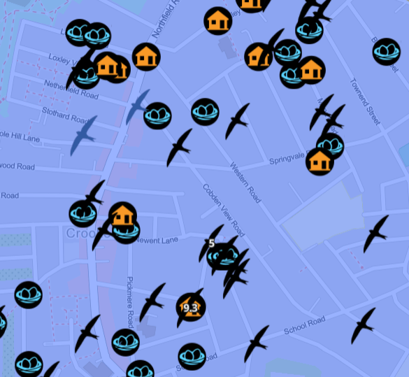 Surveying and reporting of swift sightings, and nests (either active or ...