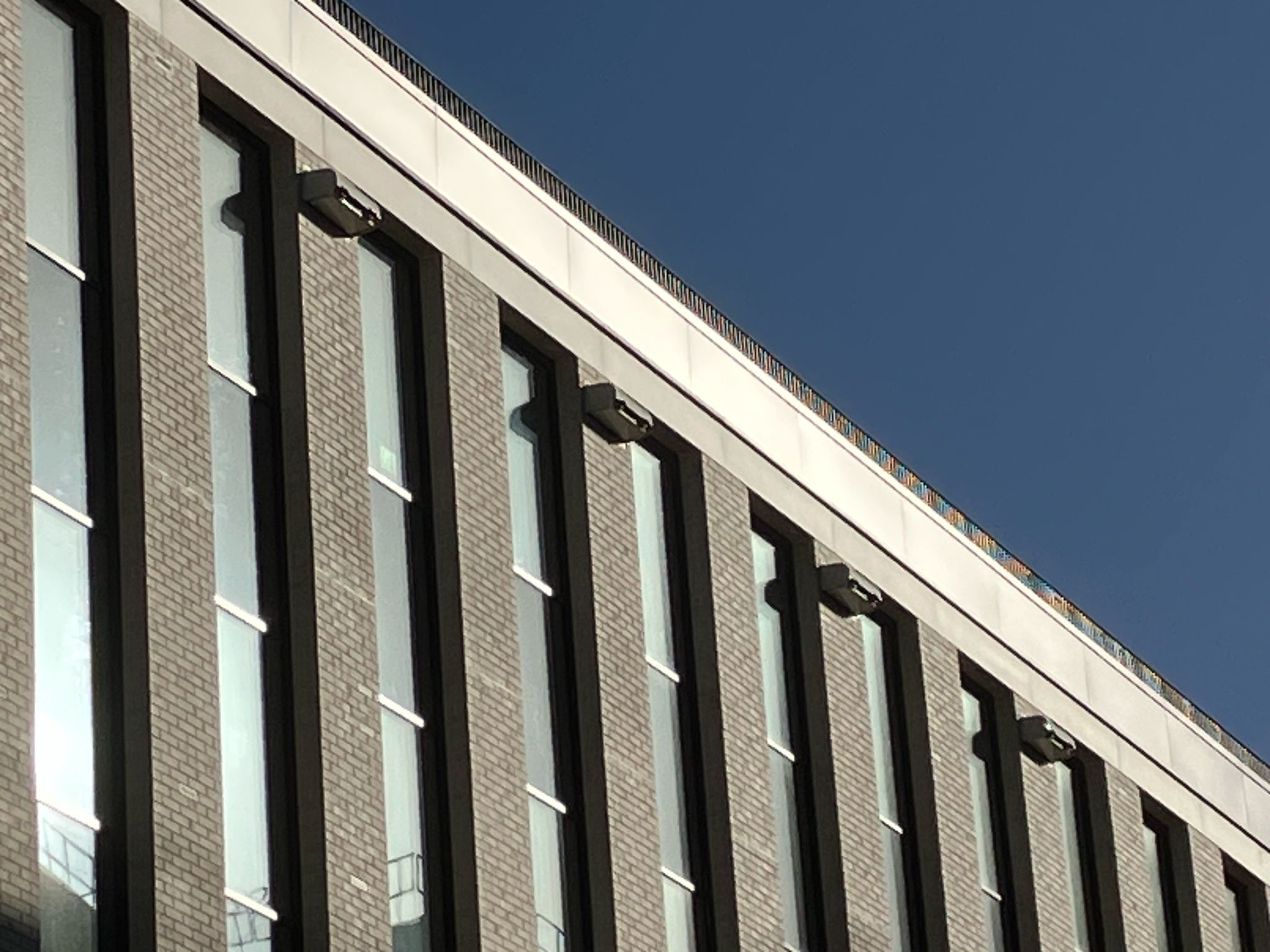 34 new nesting chambers for Swifts in Sheffield City Centre – Sheffield ...