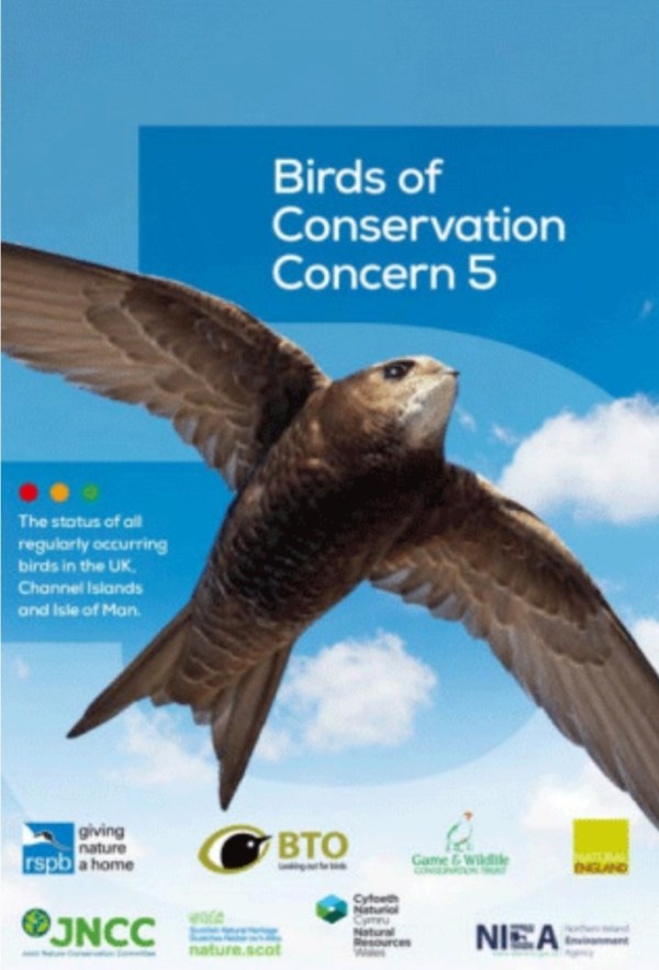 Swift Brick Installation Guide for New-Build Developments – Sheffield ...