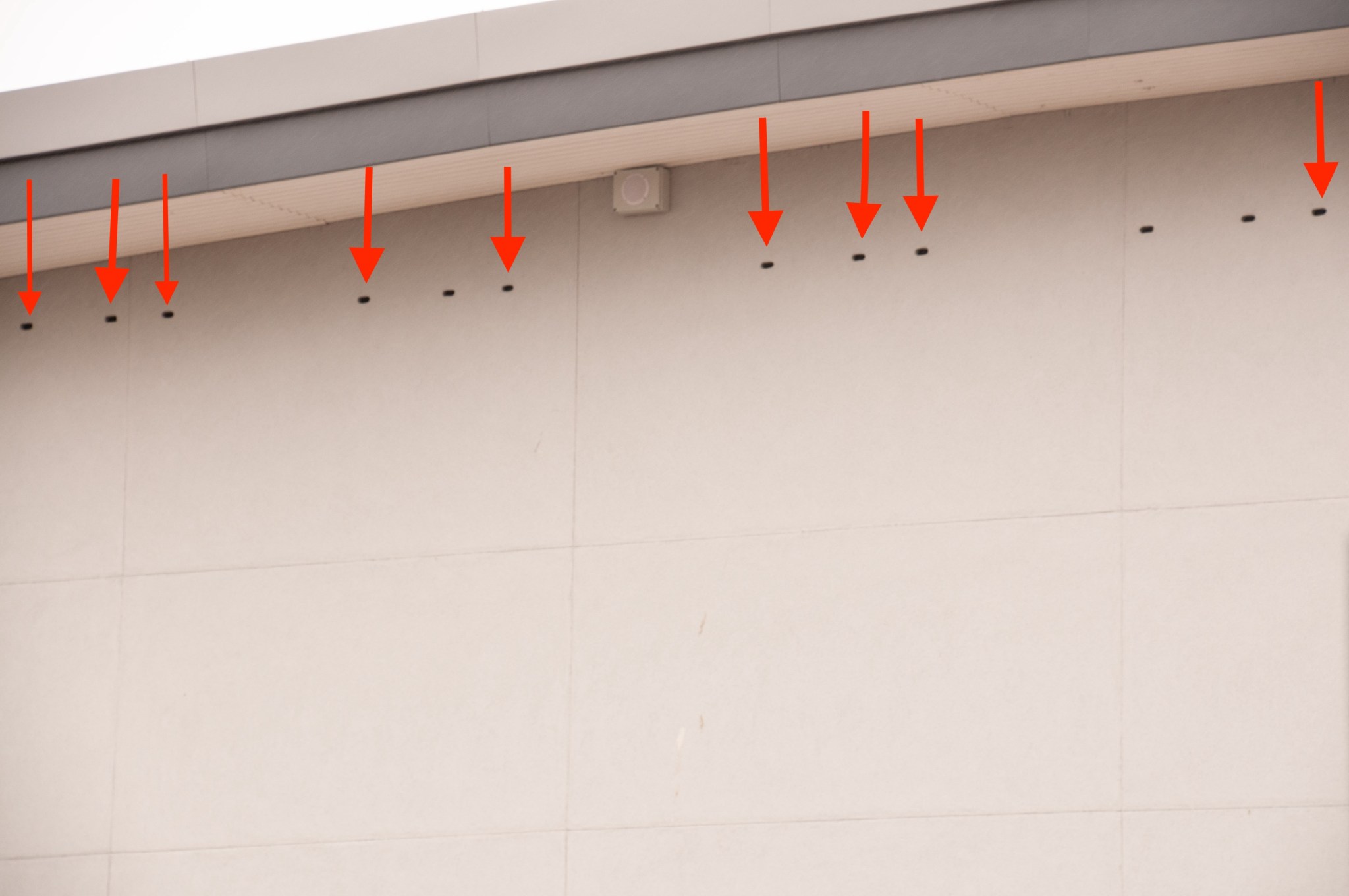 Swift Brick Installation Guide for New-Build Developments – Sheffield ...