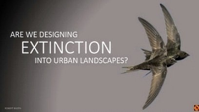 Swift Brick Installation Guide for New-Build Developments – Sheffield ...