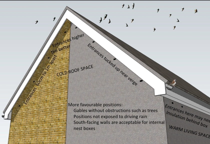 Swift Brick Installation Guide for New-Build Developments – Sheffield ...