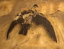 Swift Brick Installation Guide for New-Build Developments – Sheffield ...