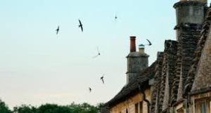 Swift Brick Installation Guide for New-Build Developments – Sheffield ...