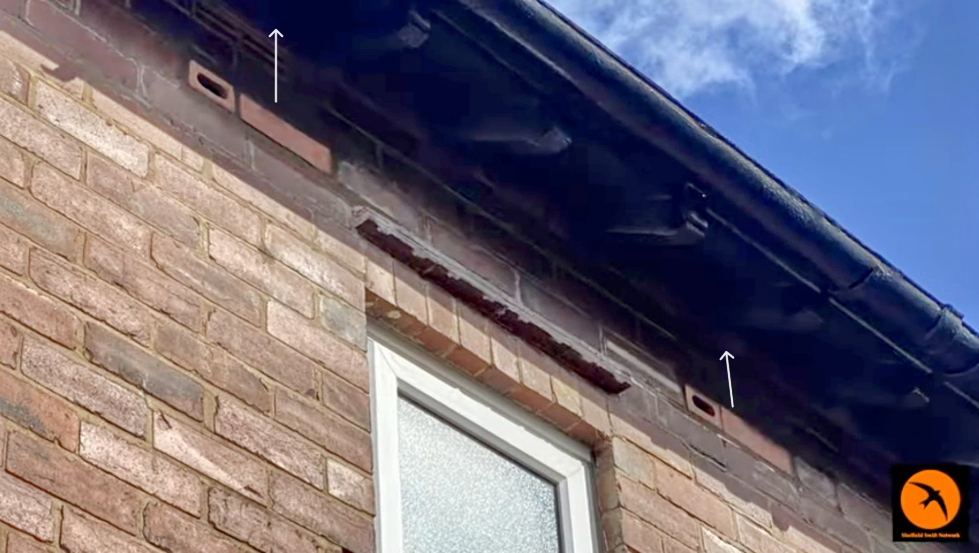 Information for Builders and Roofers – Sheffield Swift Network