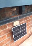 How to attract swifts to artificial nests – Sheffield Swift Network